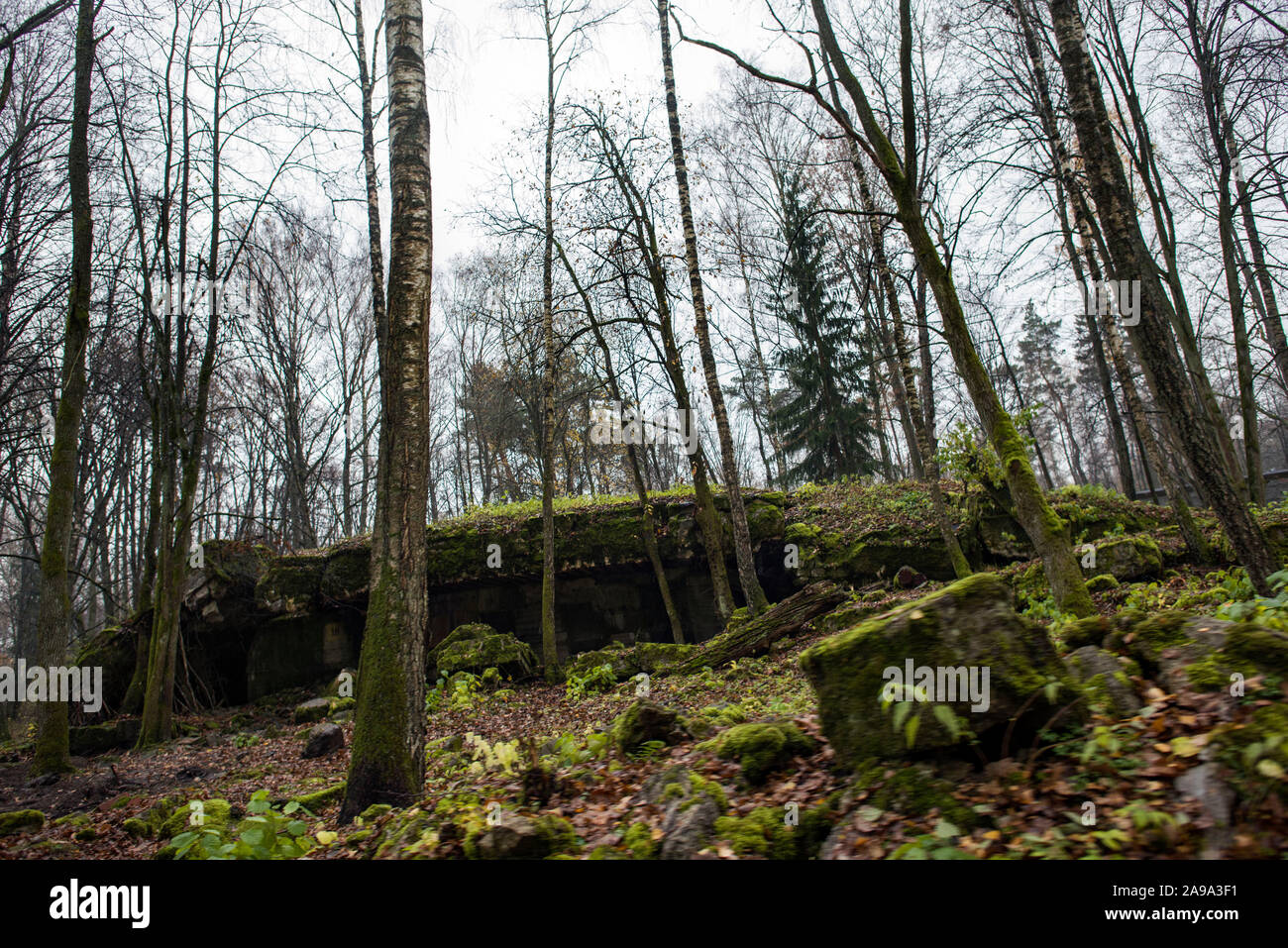 Adolf hitler war planning hi-res stock photography and images - Alamy