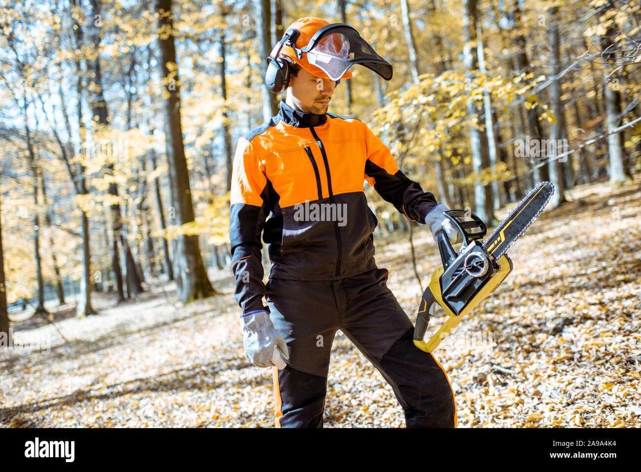 Portrait of a handsome professional lumberjack in protective workwear ...