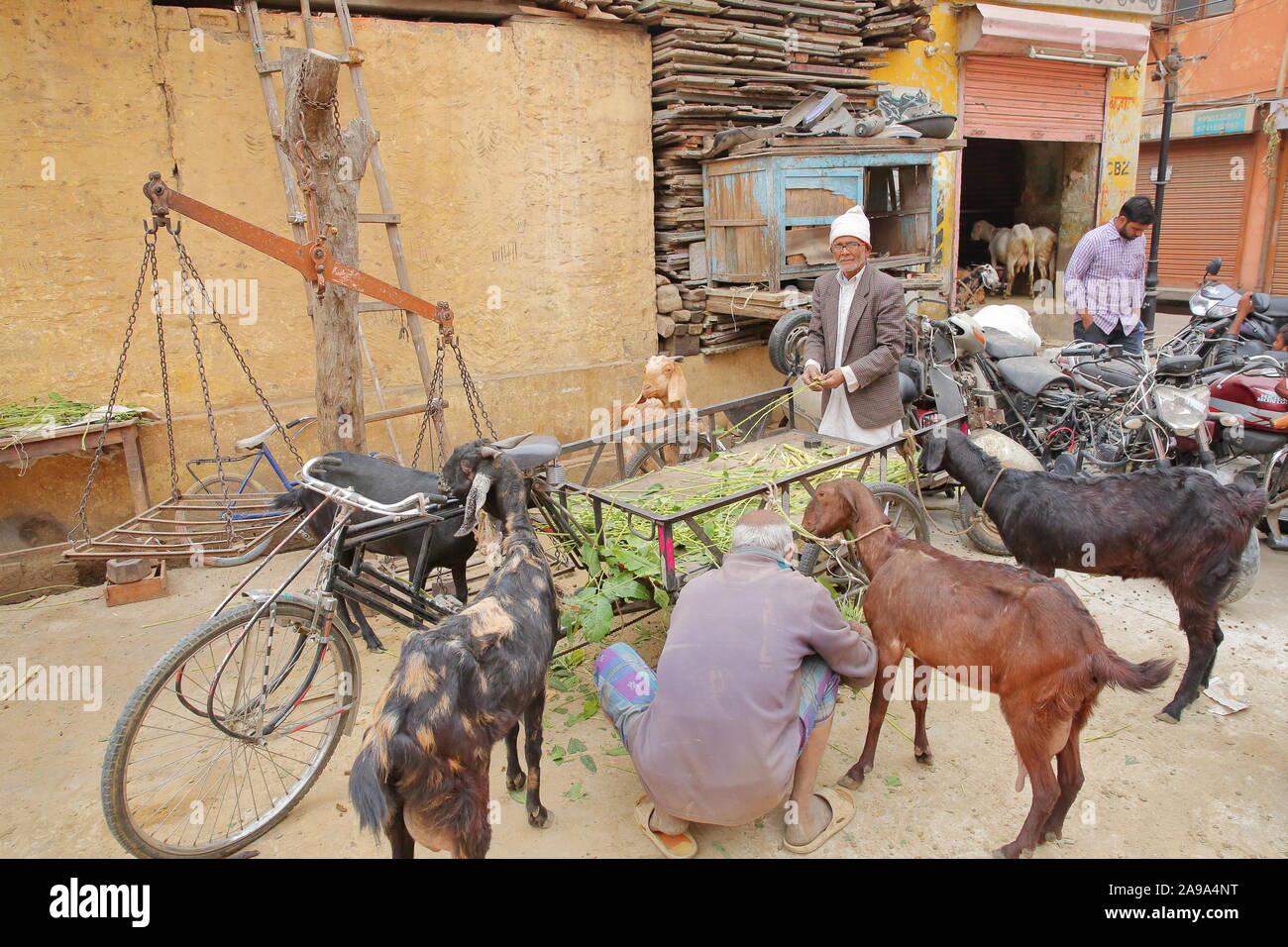 JAIPUR, RAJASTHAN, INDIA - DECEMBER 06, 2017: Rural life inside Jaipur ...