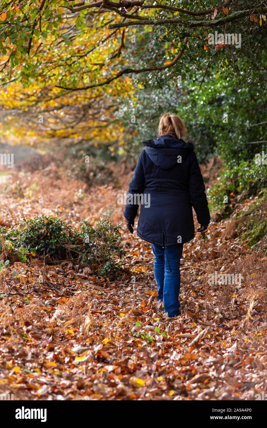 Walking through autumn leaves Stock Photo - Alamy