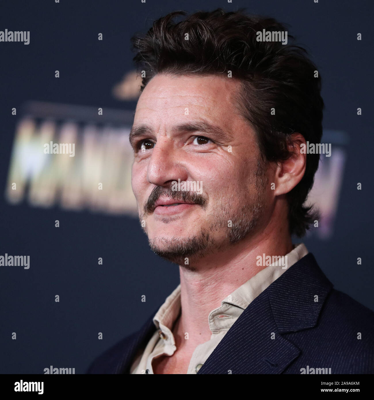 HOLLYWOOD, LOS ANGELES, CALIFORNIA, USA - NOVEMBER 13: Actor Pedro ...