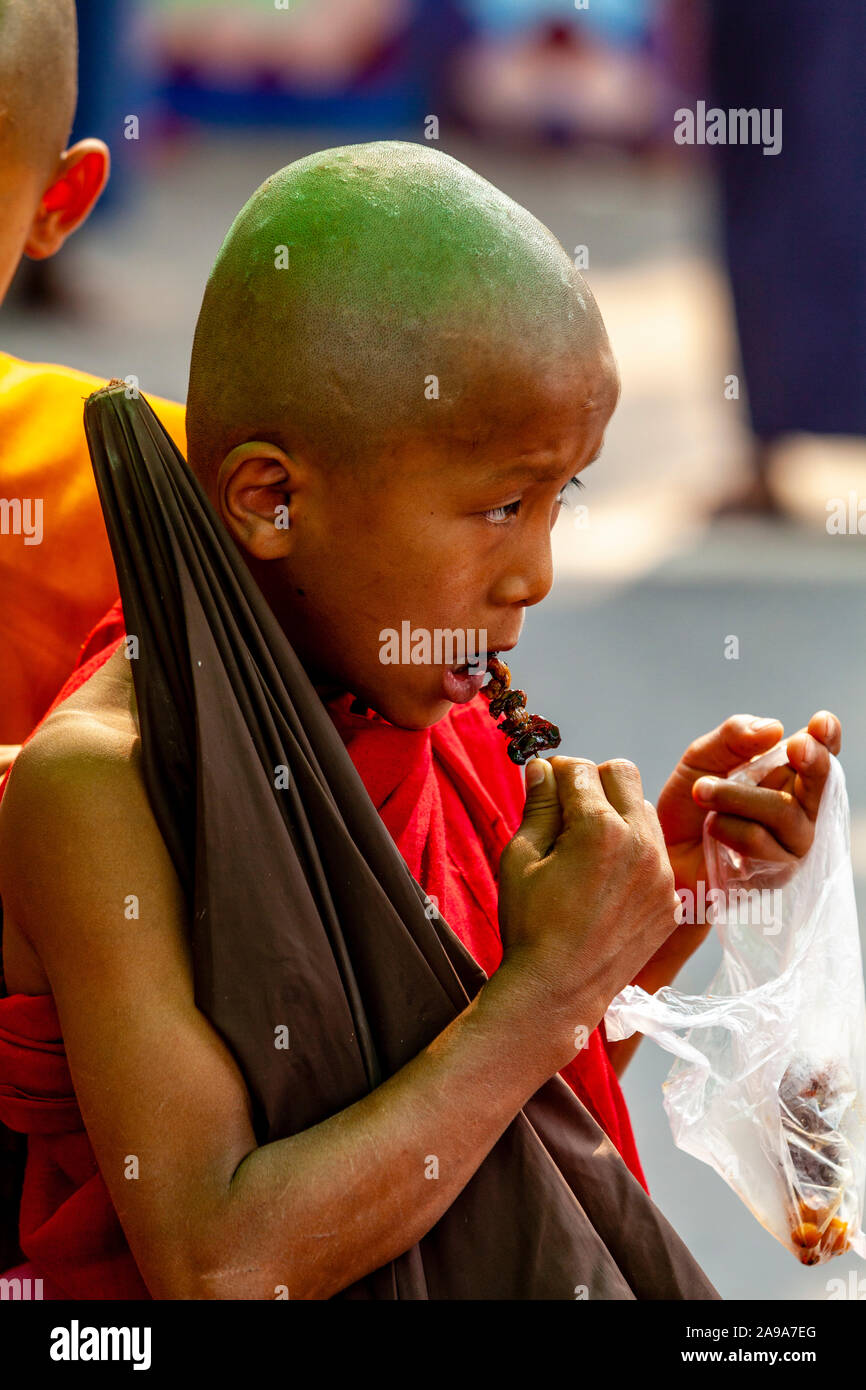 Buddhist monk eating hi-res stock photography and images - Alamy