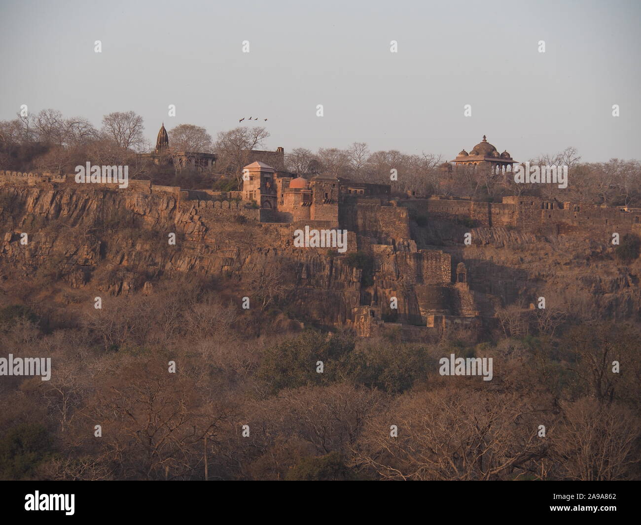 Ranthambore fort india hi-res stock photography and images - Alamy