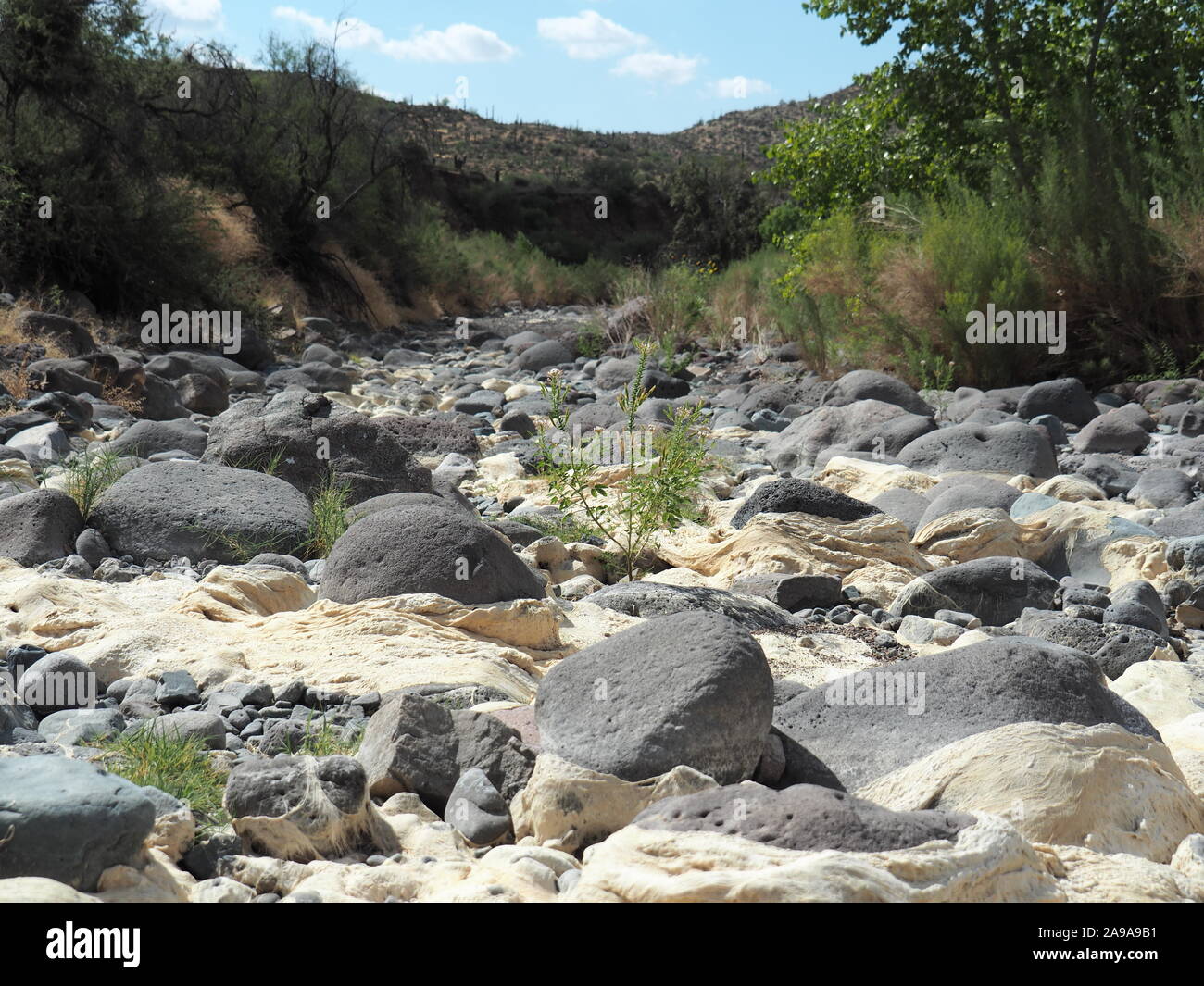 View up a desert wash at Spur Cross Ranch, Scottsdale, Arizona, USA ...