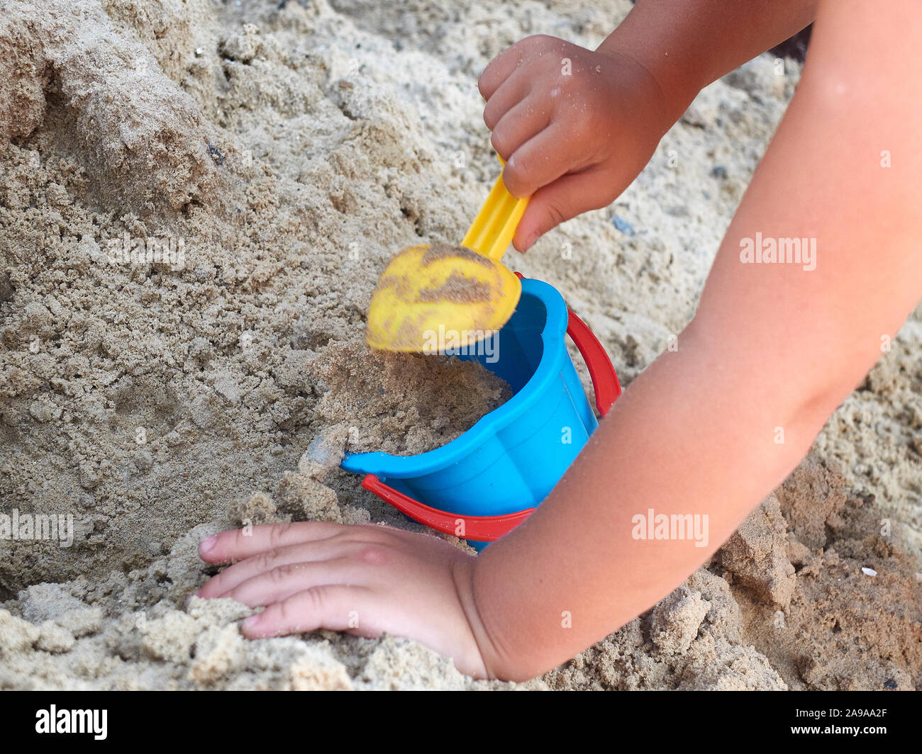 Hands of child playing in the sandbox with yellow scoop and blue bucket ...