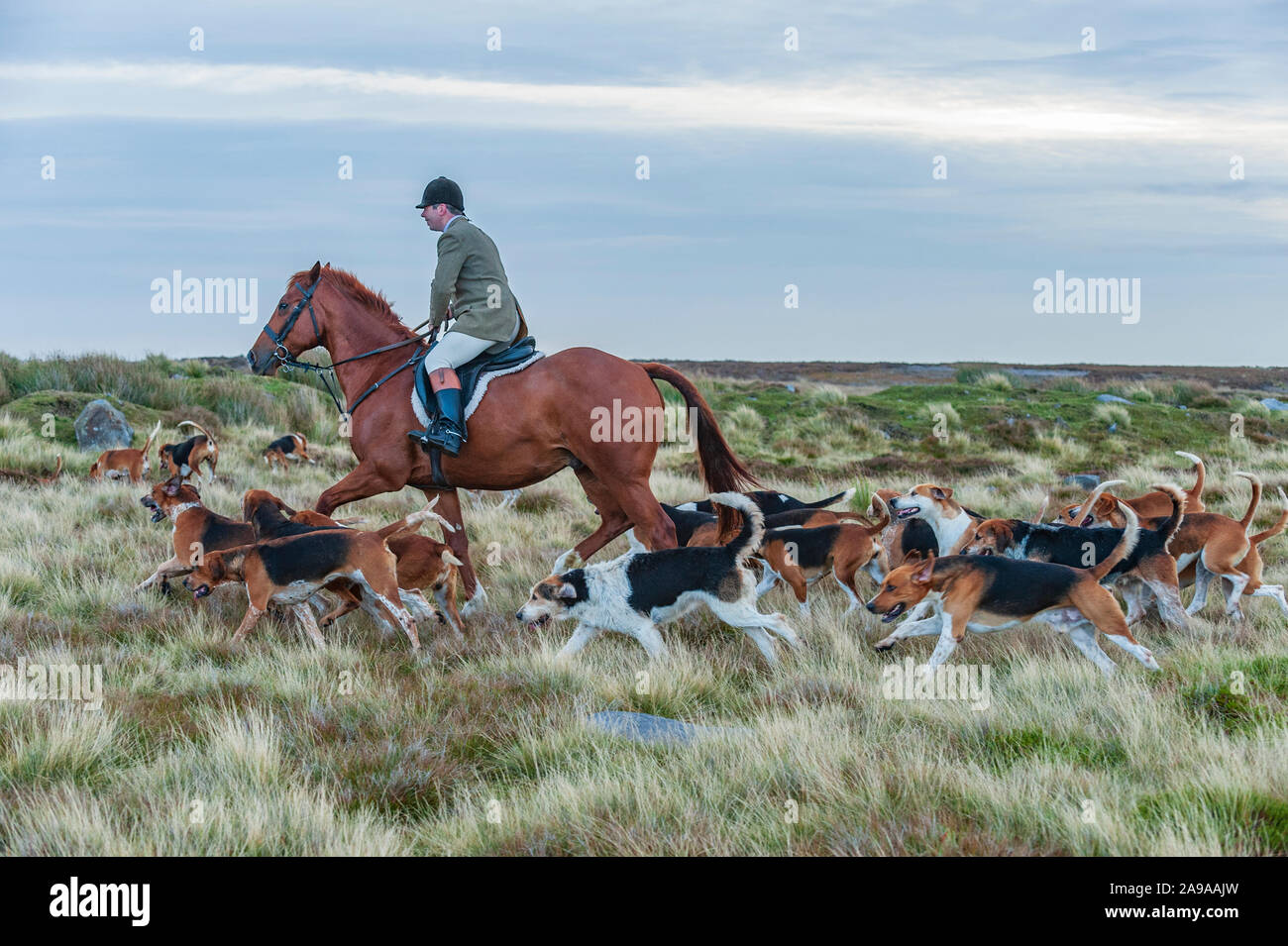 Derbyshire moors hi-res stock photography and images - Alamy
