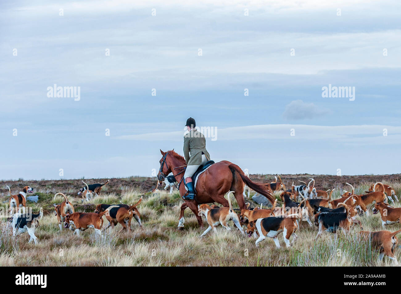 Derbyshire moors hi-res stock photography and images - Alamy