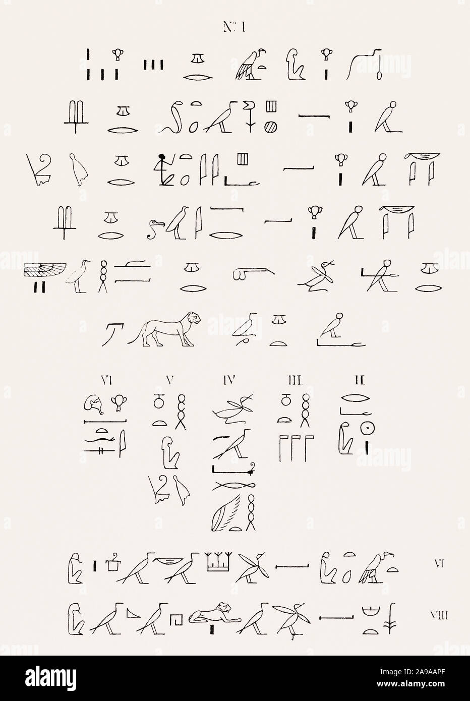 Ancient egyptian hieroglyphics text hi-res stock photography and images ...