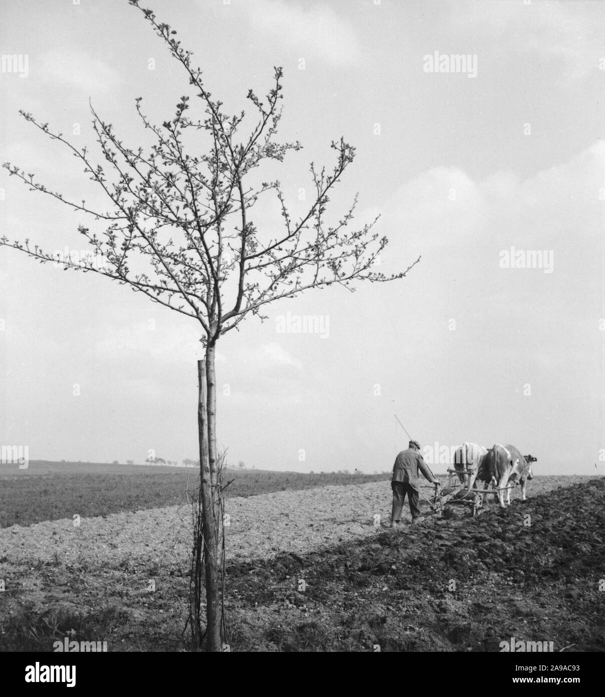 1930s farm wagon hi-res stock photography and images - Alamy