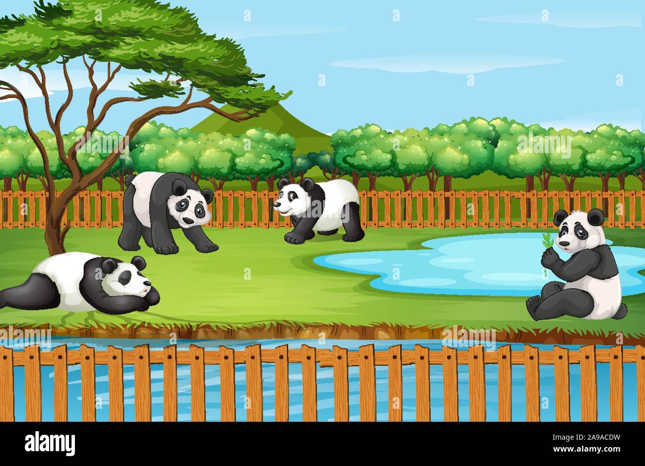 Scene with panda in the zoo illustration Stock Vector Image & Art - Alamy