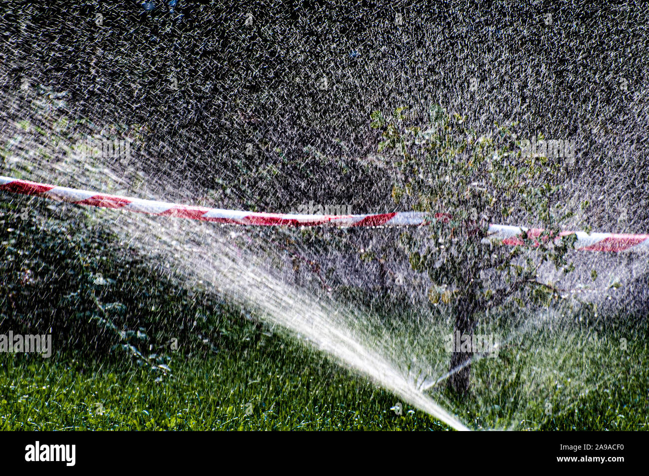 Water spraying from a sprinkler Stock Photo - Alamy