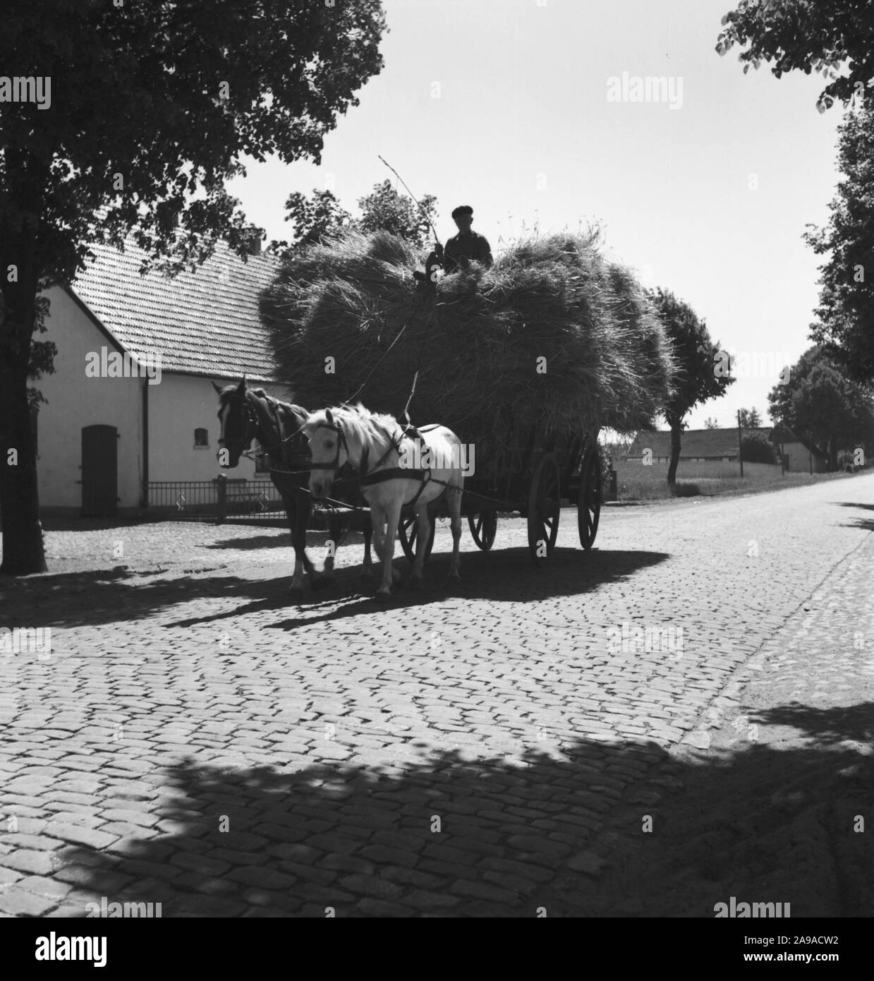 Farmer country Black and White Stock Photos & Images - Alamy