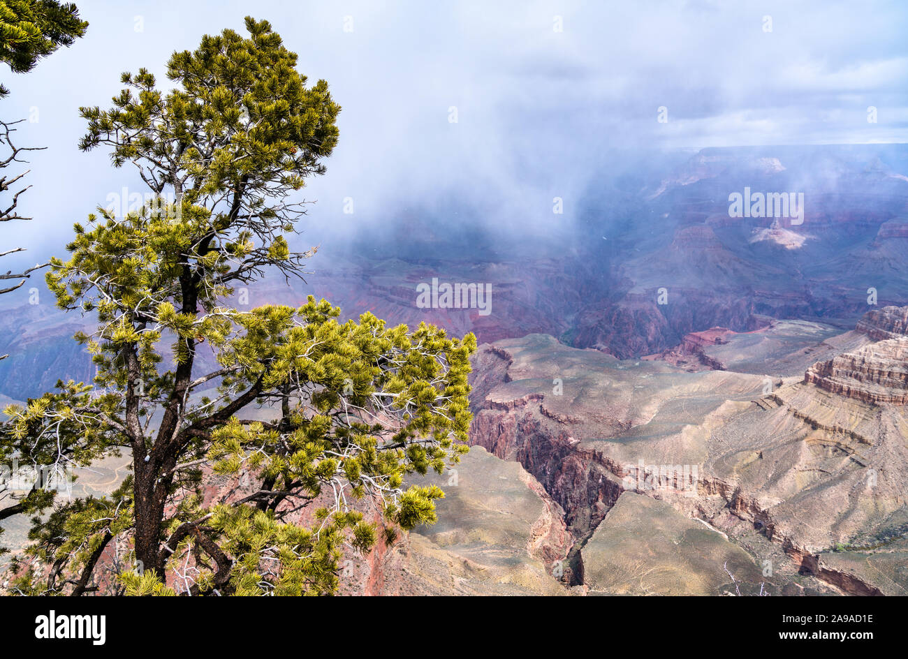 Snow on south rim hi-res stock photography and images - Alamy