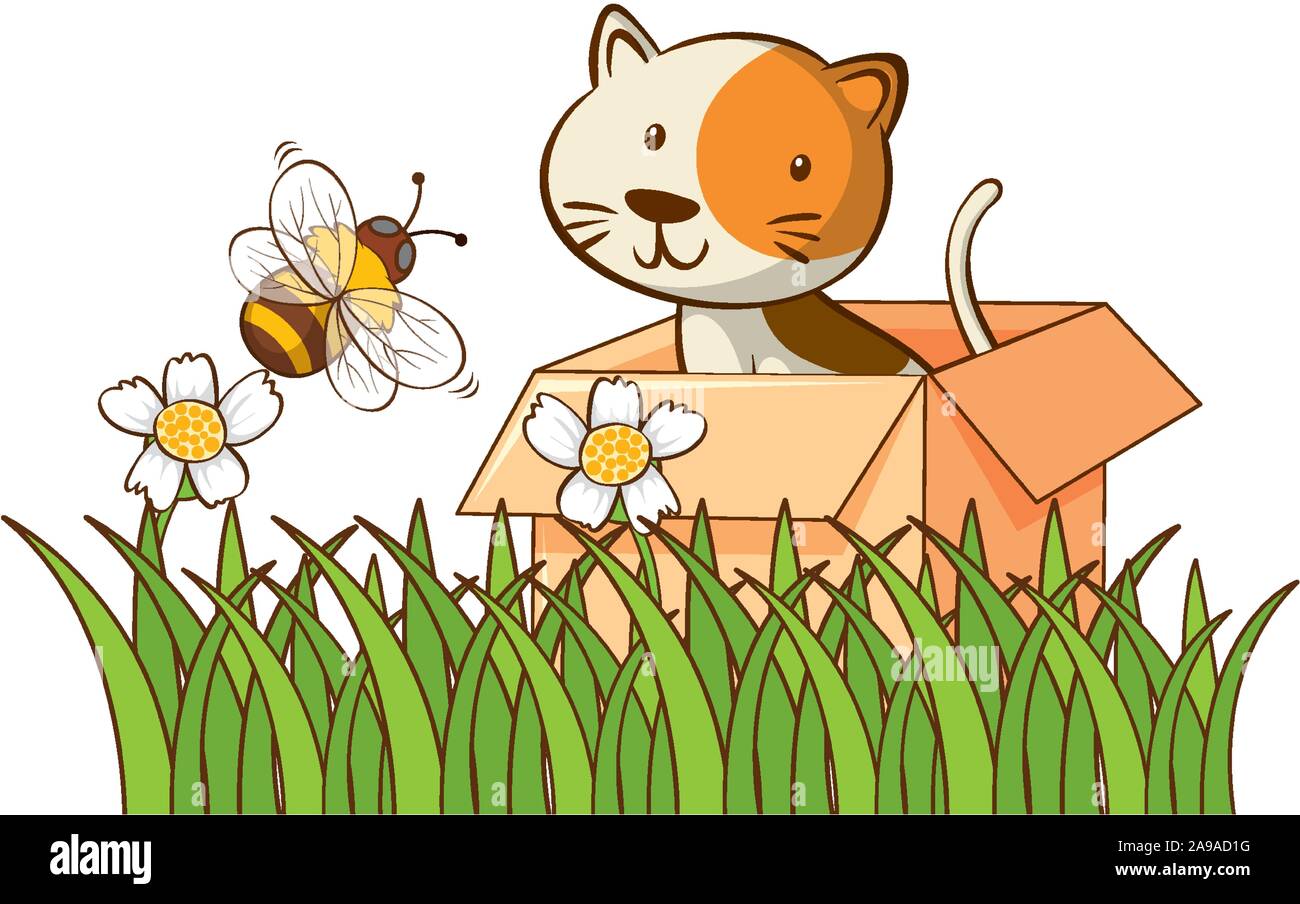 Isolated picture of cute cat in the box illustration Stock Vector Image ...