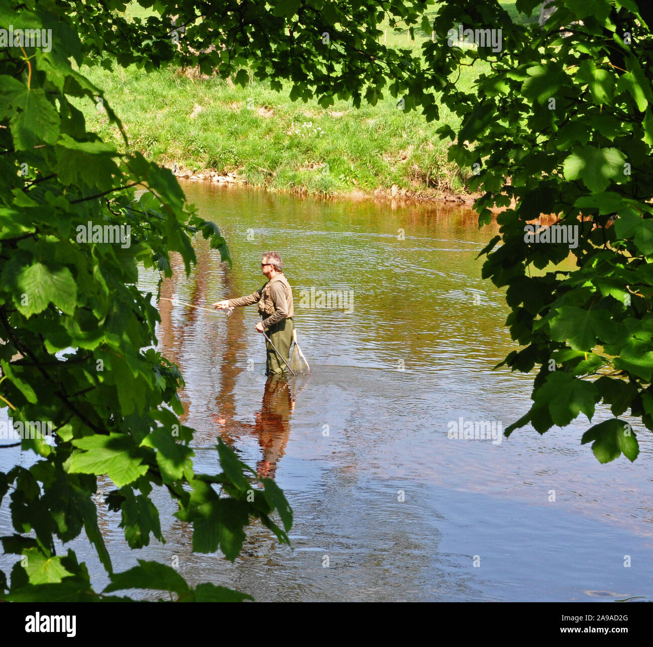 Fly fisherman, River Wharfe, Bolton Abbey Stock Photo - Alamy