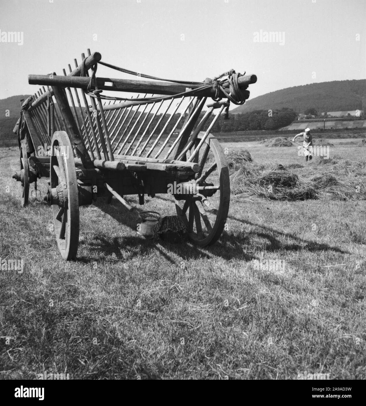 Harvesting hay, Germany 1930s Stock Photo - Alamy