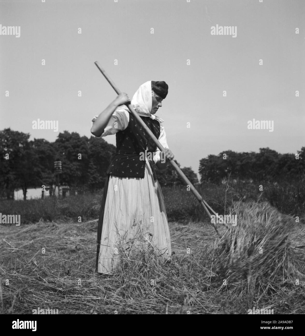 Pitchfork in farm Black and White Stock Photos & Images - Alamy