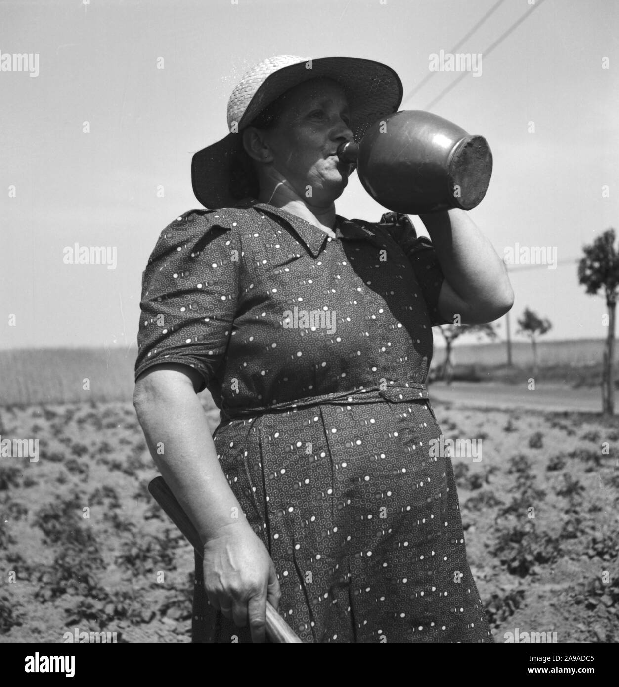 Farming women having some water while harvesting hay, Germany 1930s ...