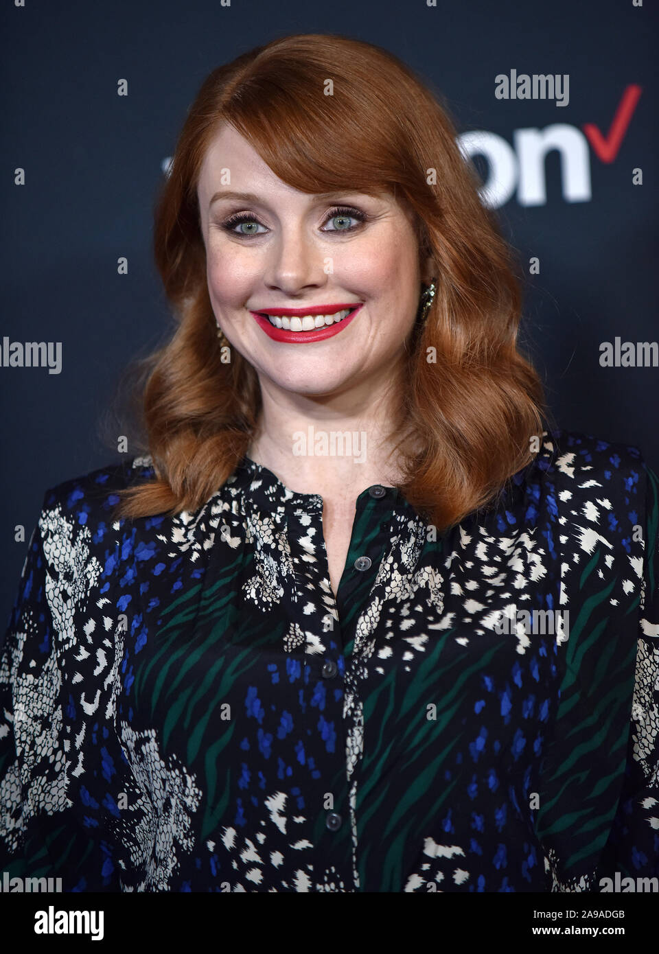 Los Angeles, United States. 13th Nov, 2019. Director Bryce Dallas ...