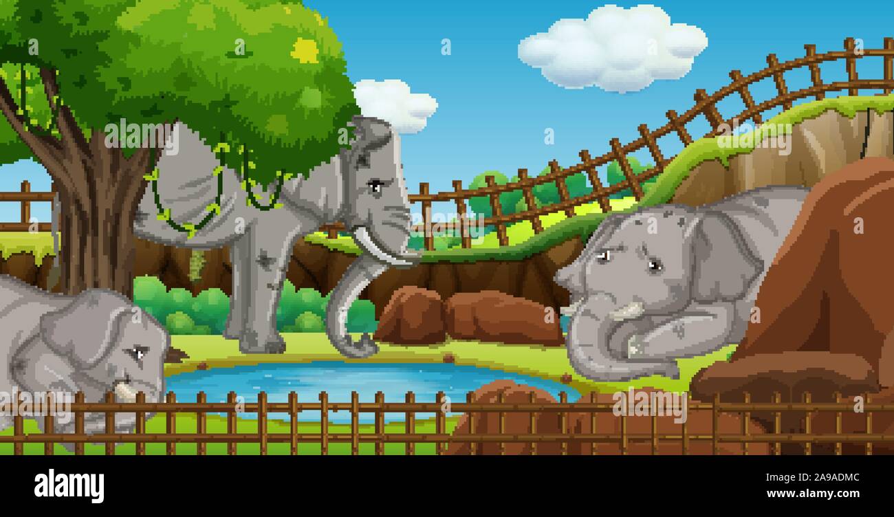 Scene with elephants at the zoo illustration Stock Vector Image & Art ...