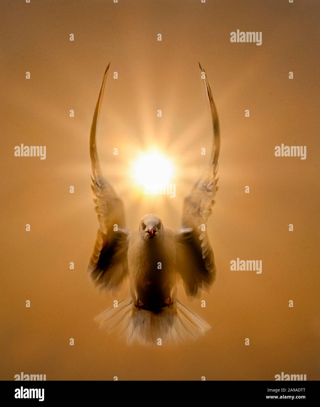 My Guardian Angel Stock Photo - Alamy