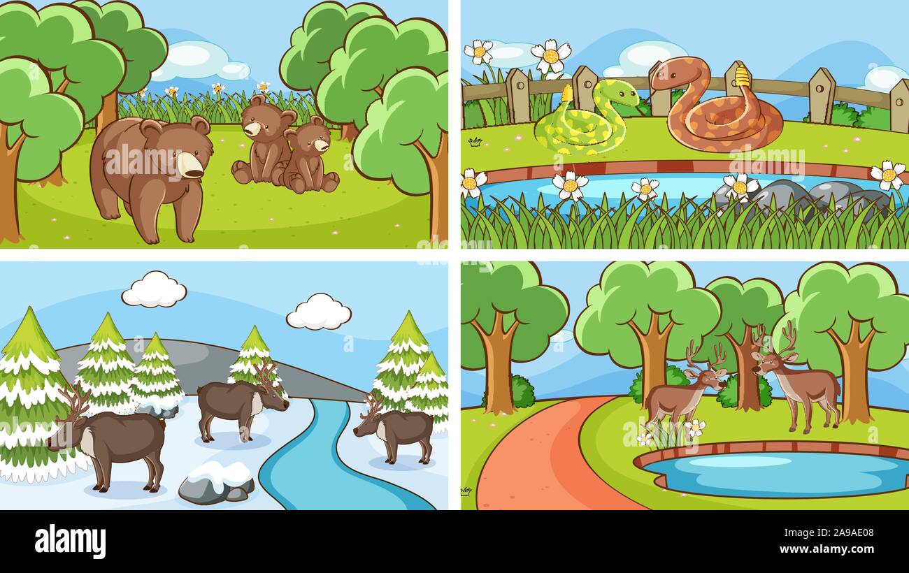 Background scenes of animals in the wild illustration Stock Vector ...
