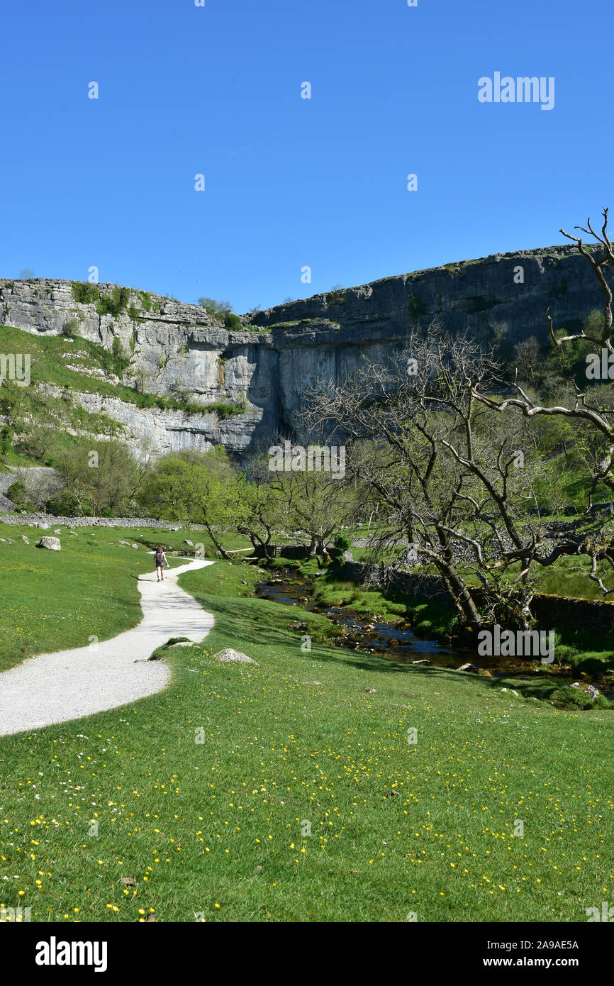 Malham cove spring hi-res stock photography and images - Alamy