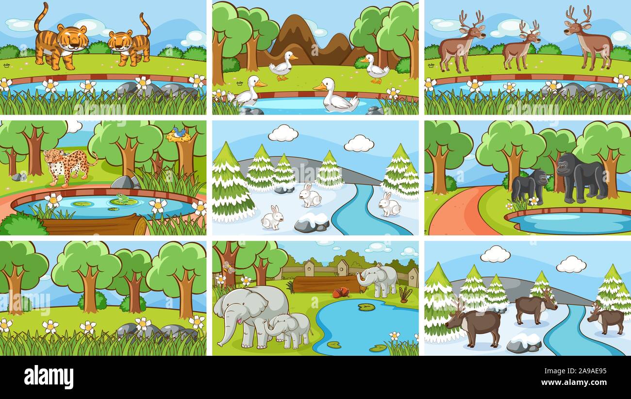 Background scenes of animals in the wild illustration Stock Vector ...