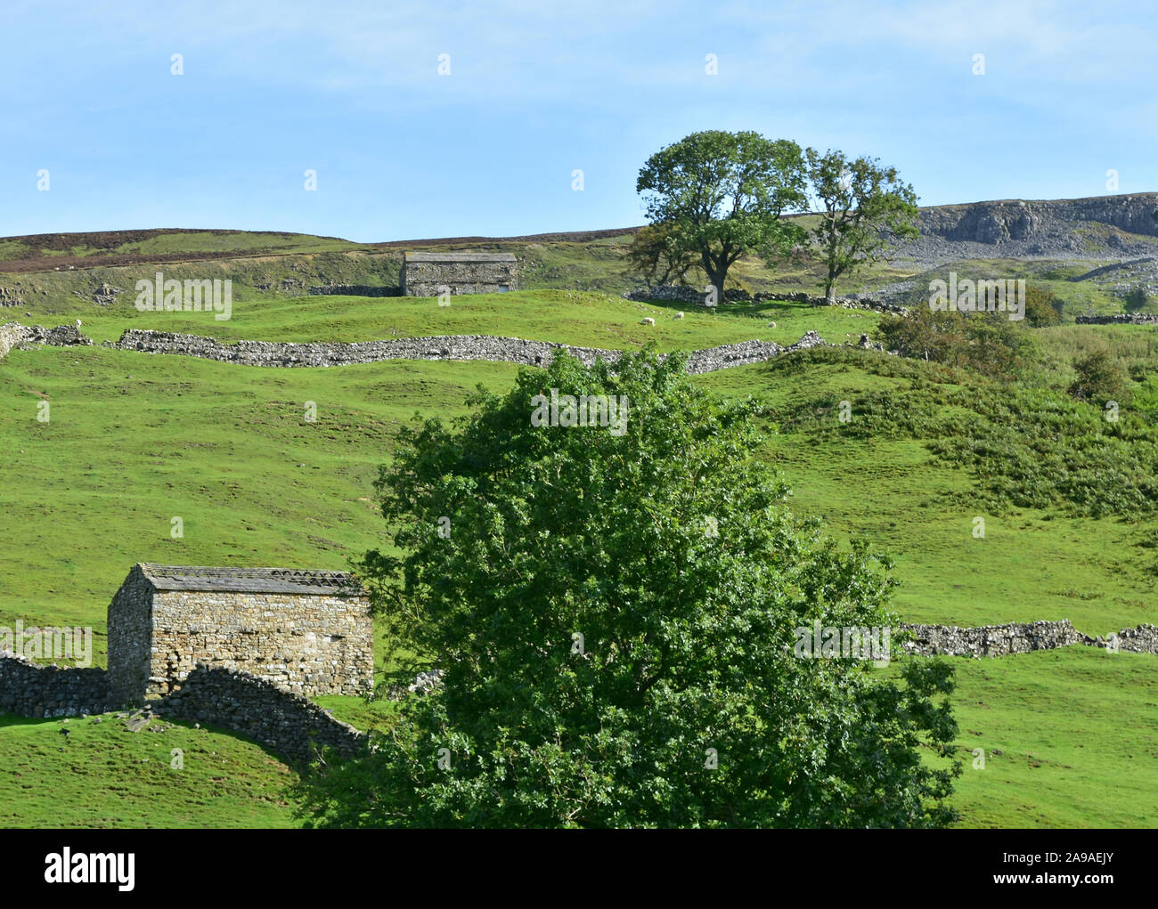 Barns in Swaledale landscape at Gunnerside, North Yorkshire Stock Photo ...