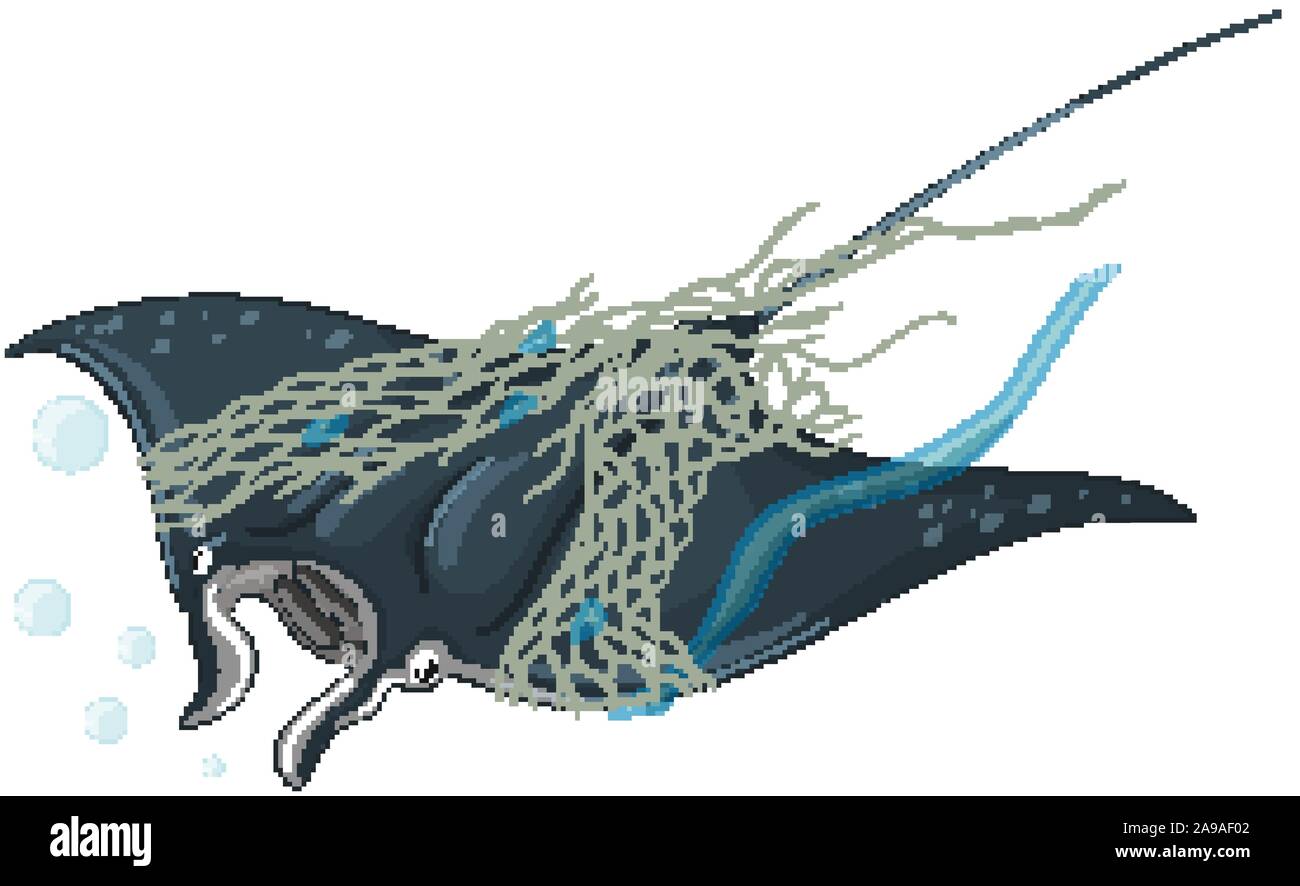 Stingray and plastic net on white background illustration Stock Vector ...