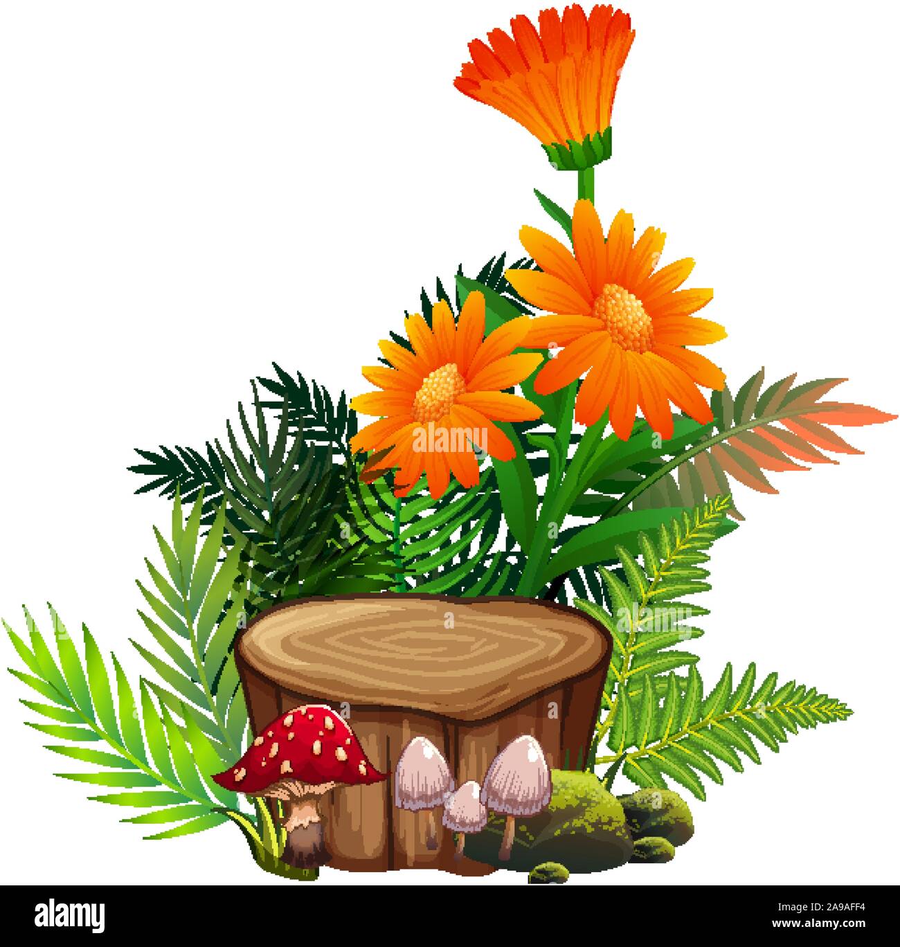 Orange gerbera flowers on white background illustration Stock Vector ...