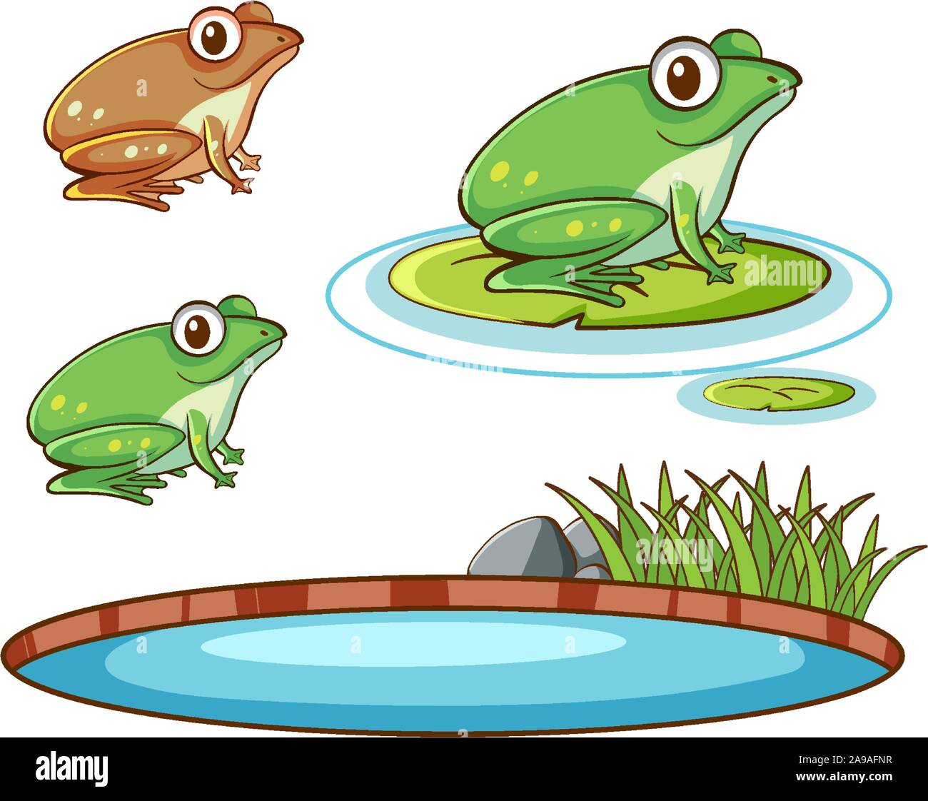Isolated picture of frogs and pond illustration Stock Vector Image ...