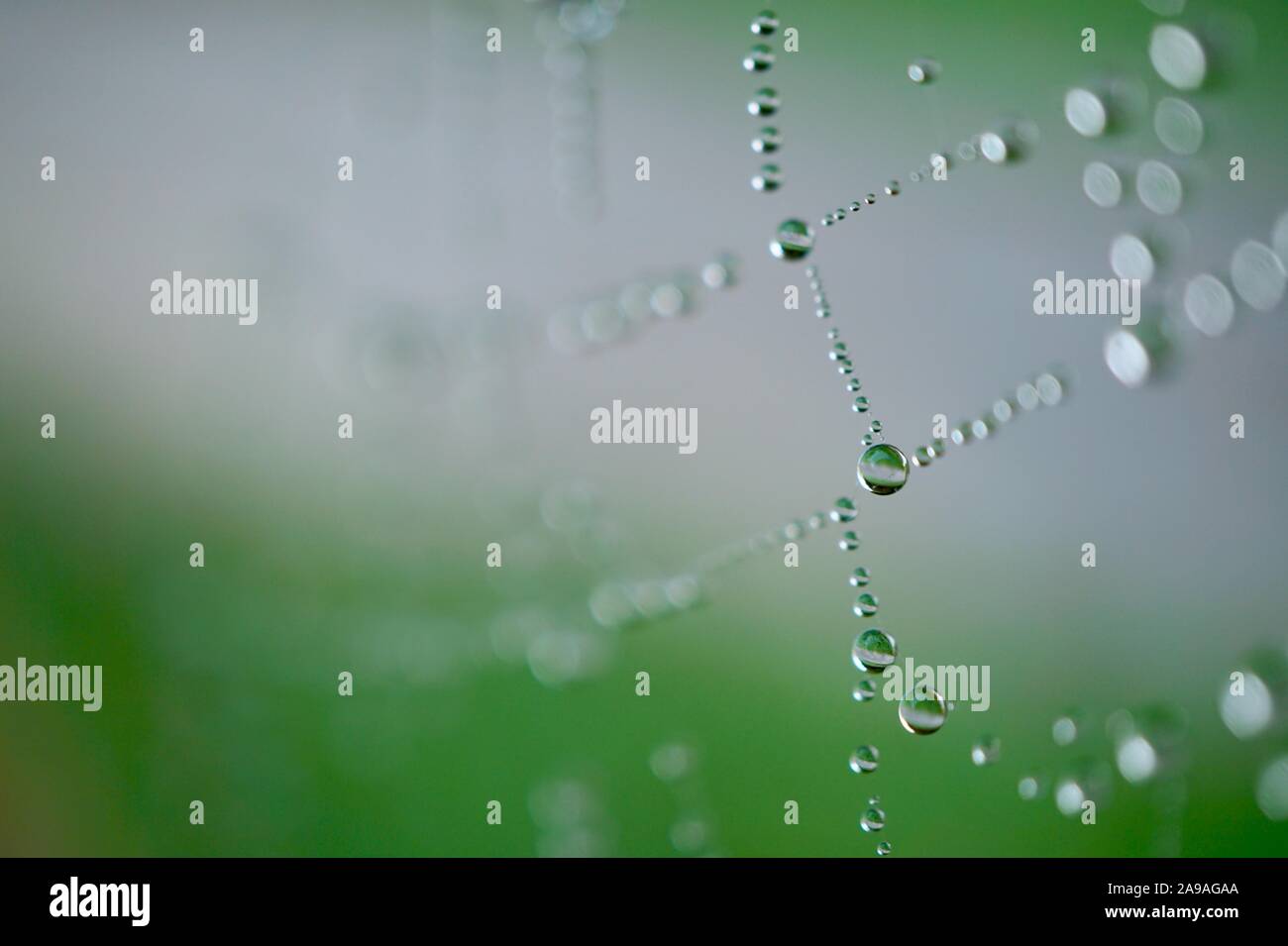 Raindrop structure hi-res stock photography and images - Alamy