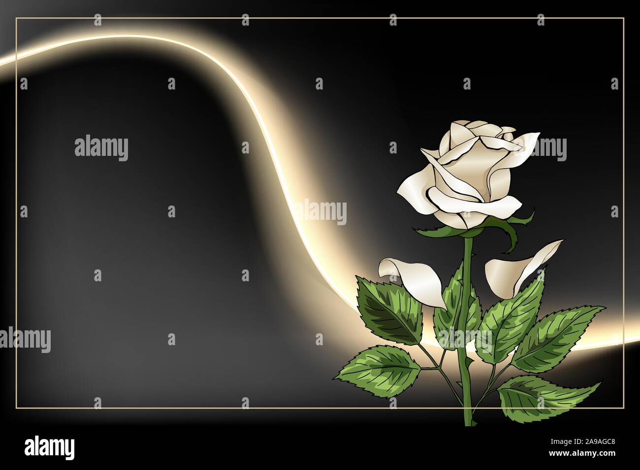 Single White Rose flower and frame on black background postcard ...