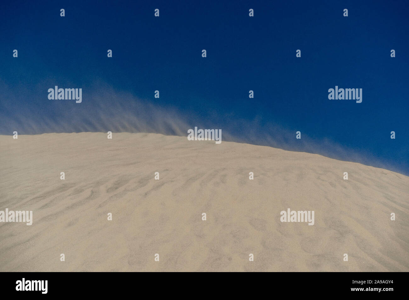 wind in edge of desert sand dunes view in Baja California Sur Mexico ...