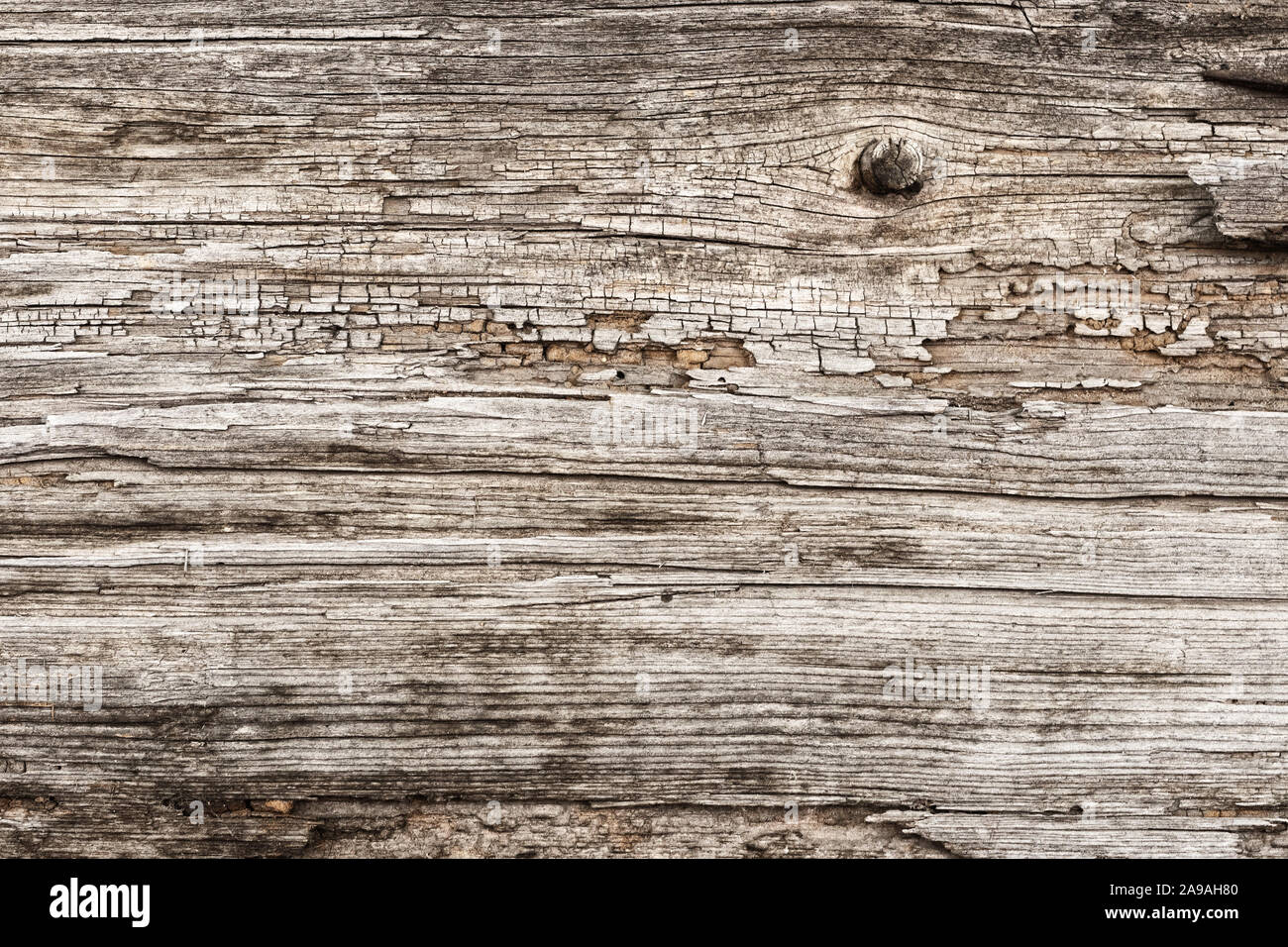 eroded wood surface, grunge wooden texture may used as a backgorund ...