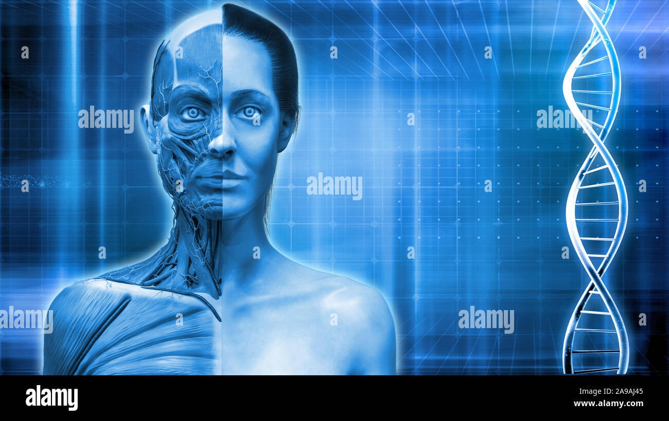 Abstract background of human body anatomy and dna , muscle anatomy ...