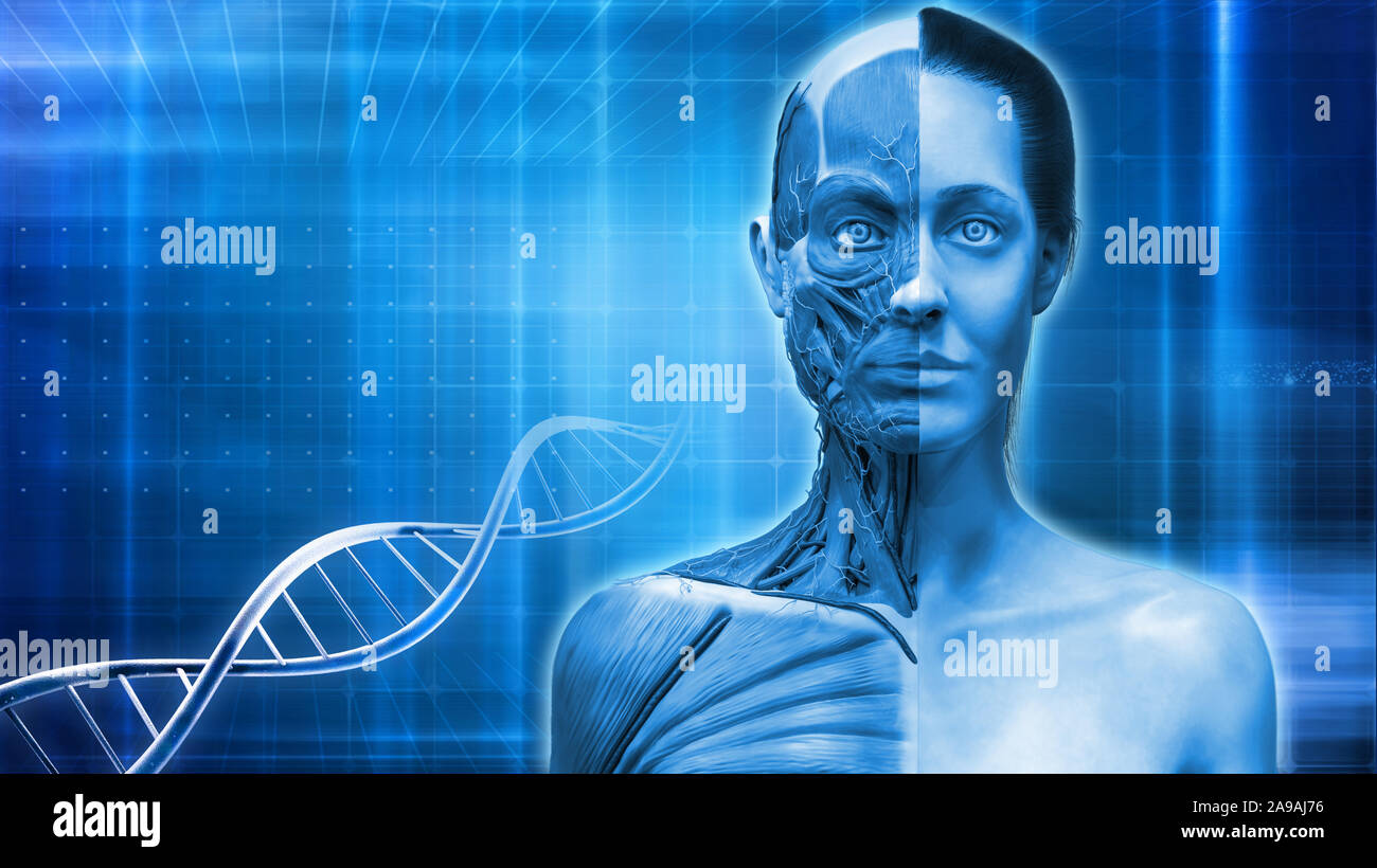 Abstract background of human body anatomy and dna , muscle anatomy ...