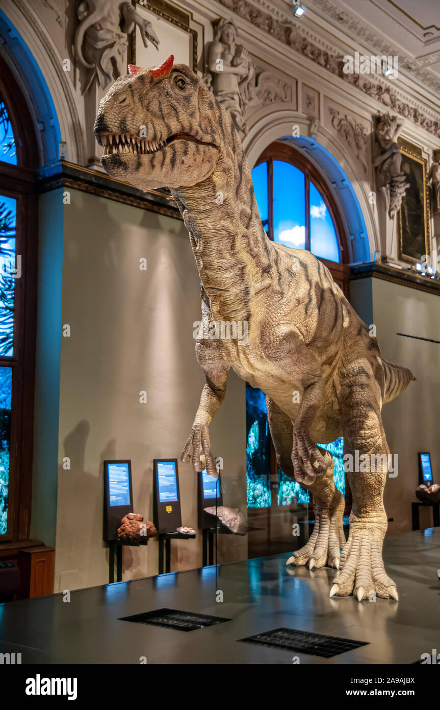 Carnivorous reptiles hi-res stock photography and images - Alamy