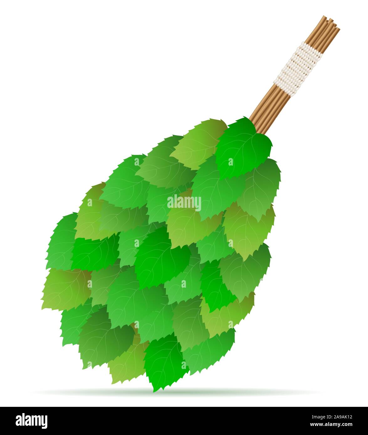 Birch branches isolated Stock Vector Images - Alamy