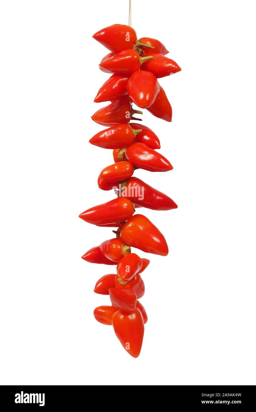 Red hot chili pepper on string isolated on white Stock Photo - Alamy