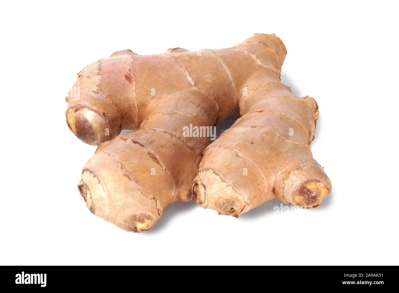Big ginger root on white background Stock Photo - Alamy