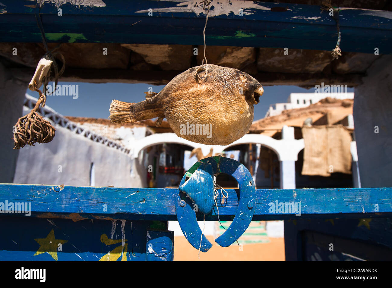 Puffer fish hi-res stock photography and images - Alamy