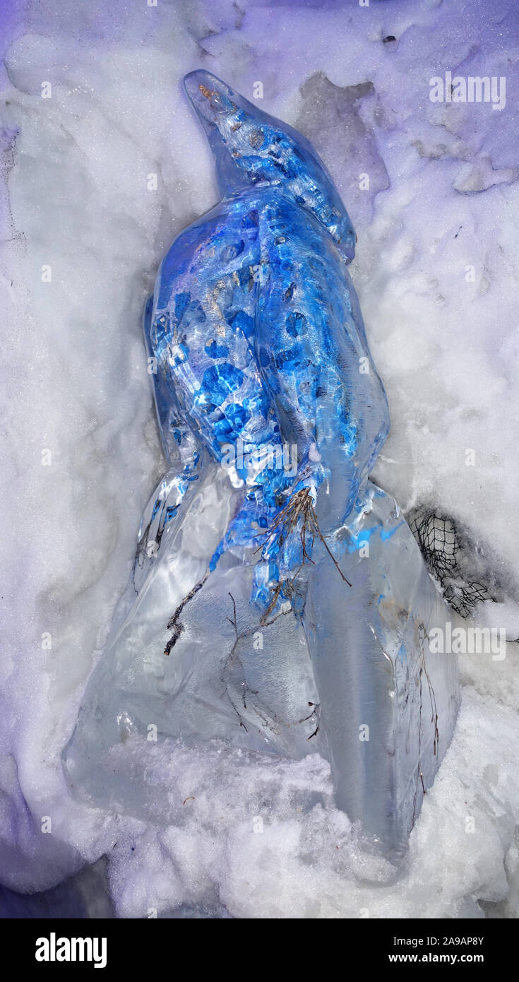 Magic ice bar norway hi-res stock photography and images - Alamy