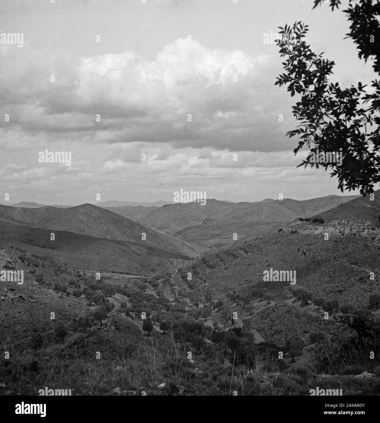 Scenic view into the valley, 1930s Stock Photo - Alamy