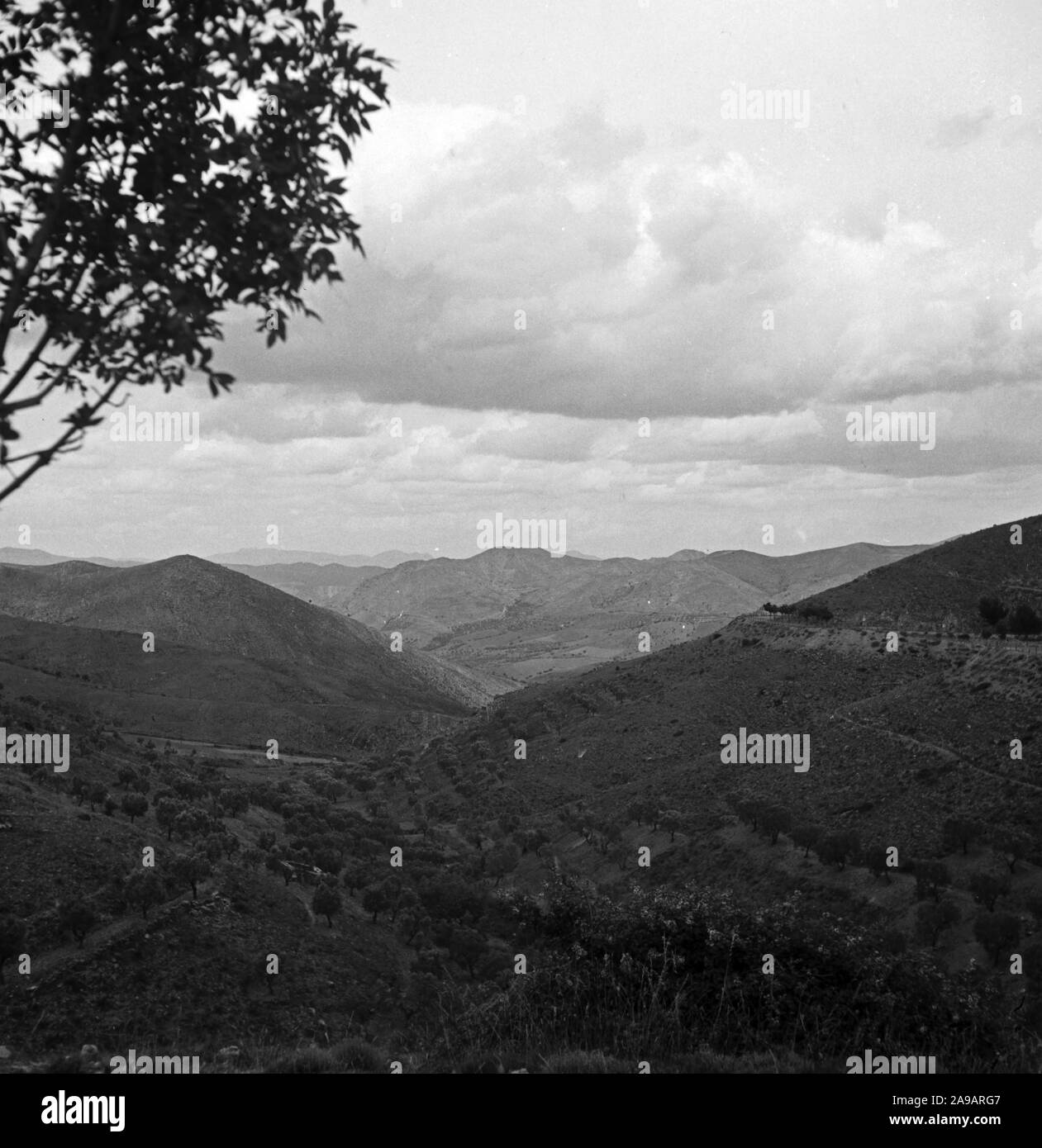 Scenic view into the valley, 1930s Stock Photo - Alamy