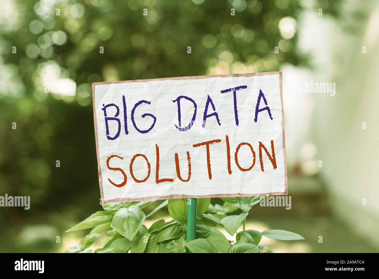Conceptual hand writing showing Big Data Solution. Concept meaning Extracting value from huge ...