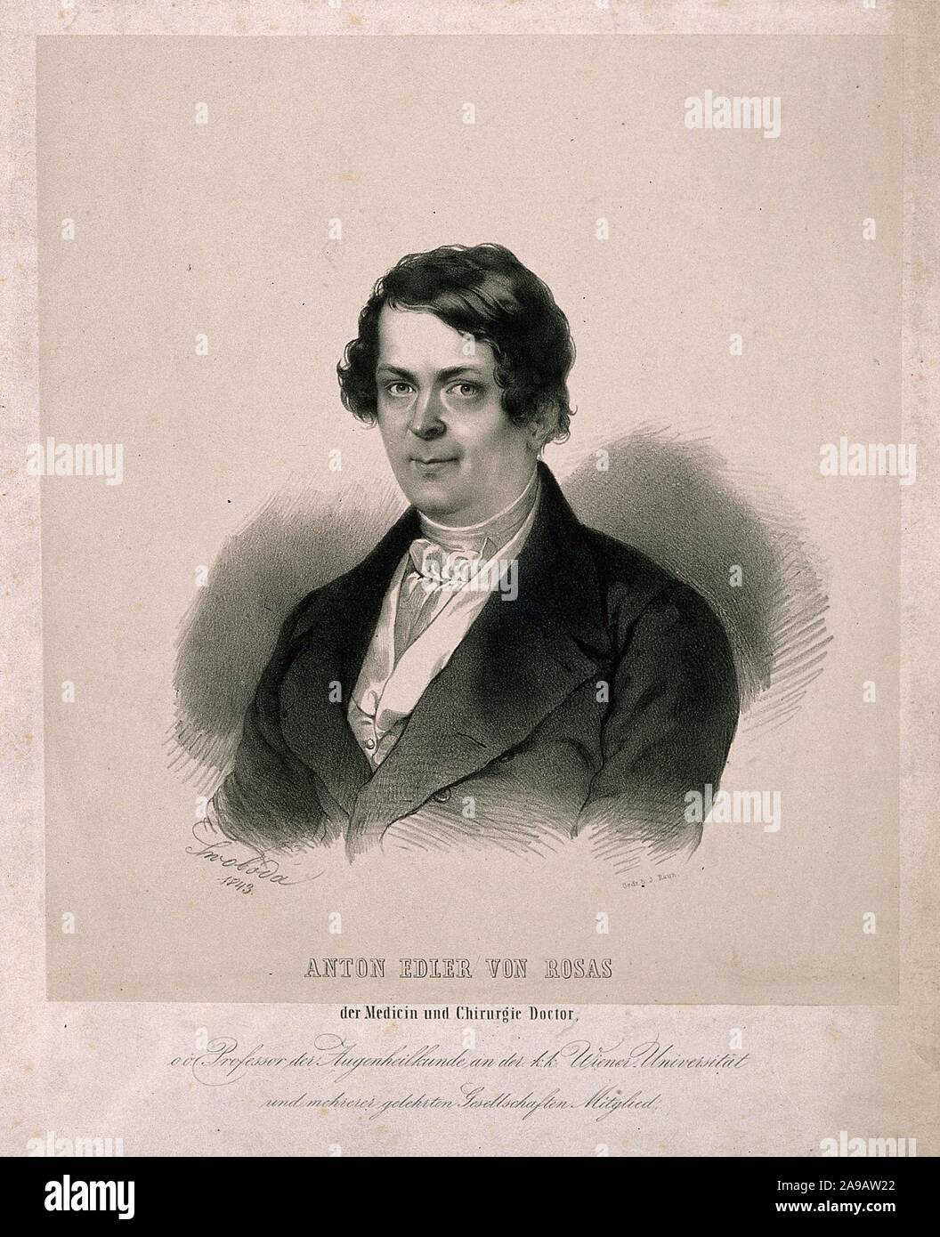 White rosas hi-res stock photography and images - Alamy