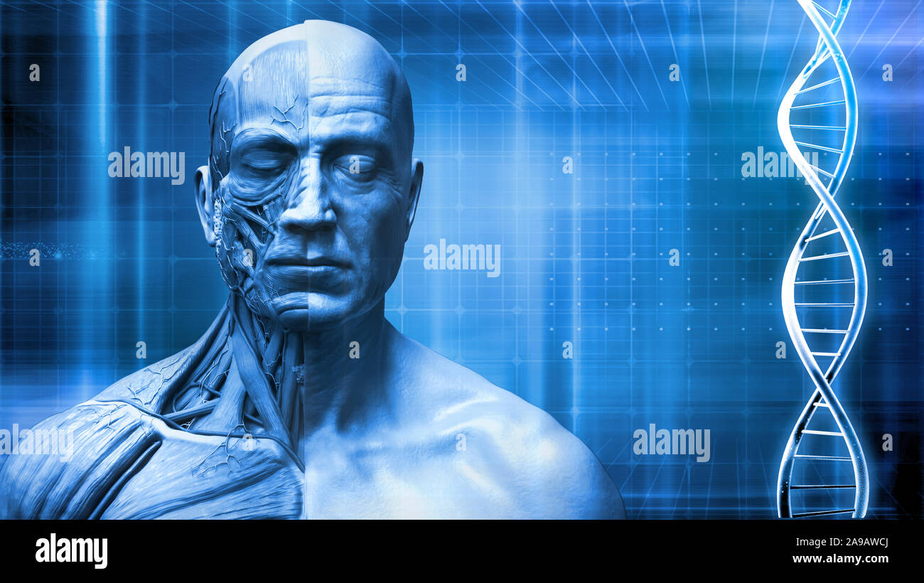 Abstract background of human body anatomy and dna , muscle anatomy ...