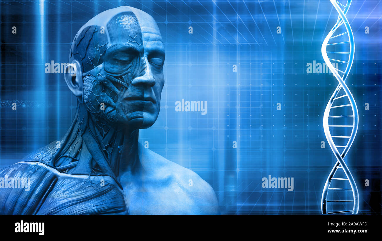 Abstract background of human body anatomy and dna , muscle anatomy ...